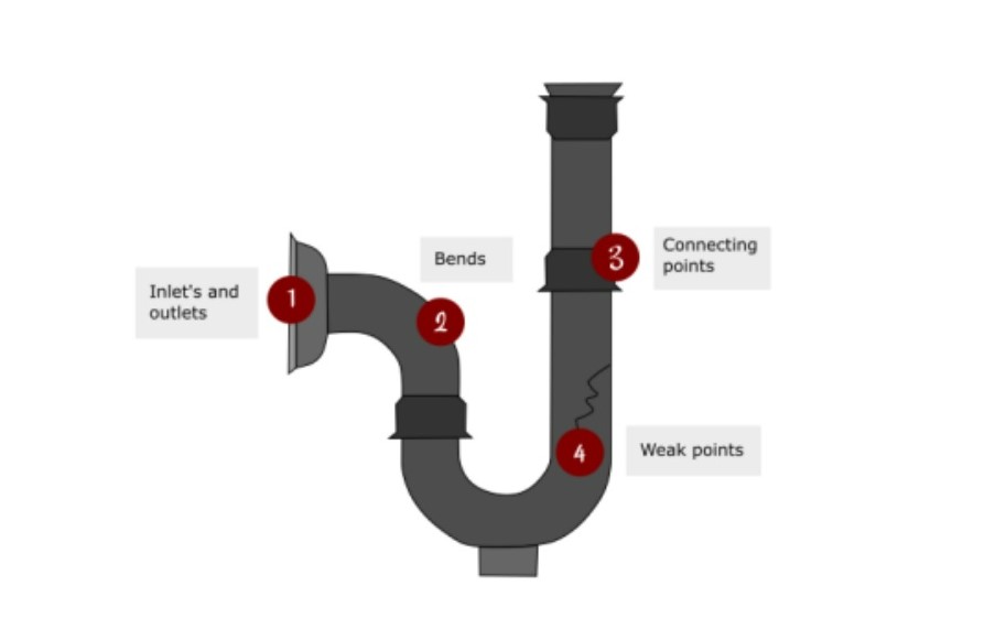 The Anatomy of a Bug - TesterWork